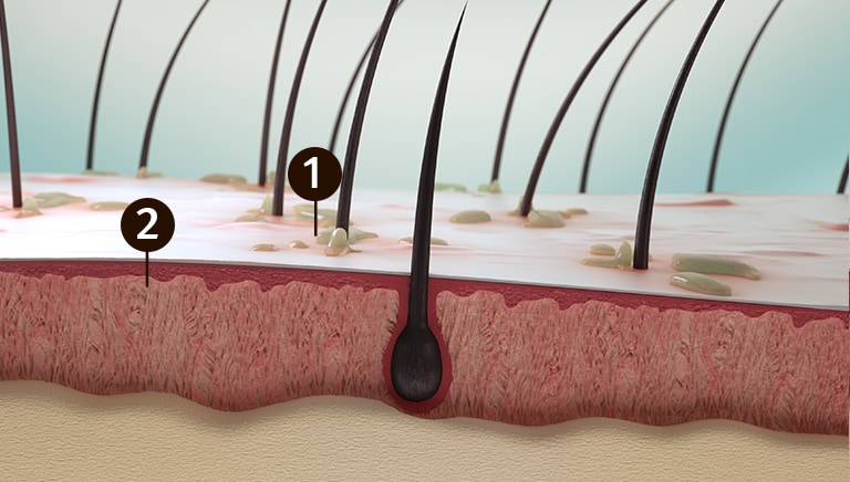 Scalp Aging 101: What You Should Know | Living Aveda