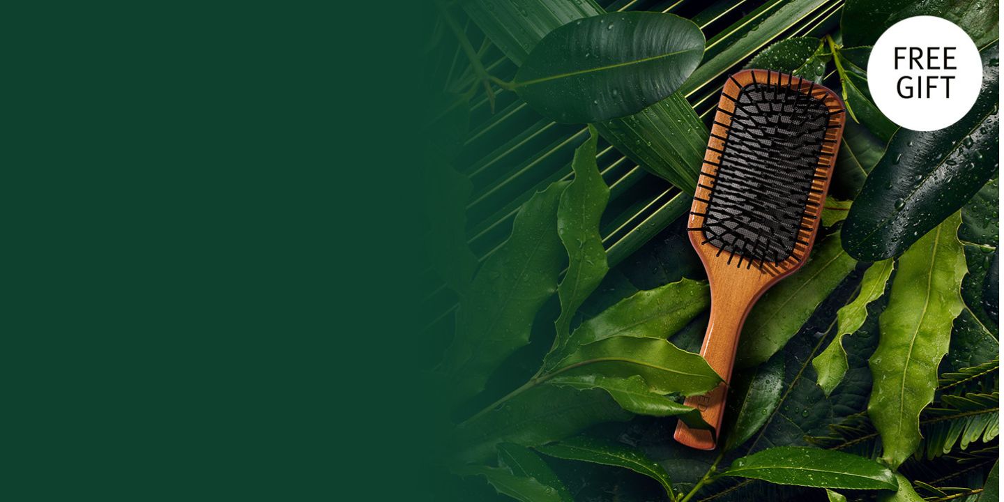 Vegan Hair Products, Shampoos, Conditioners & Salons | Aveda